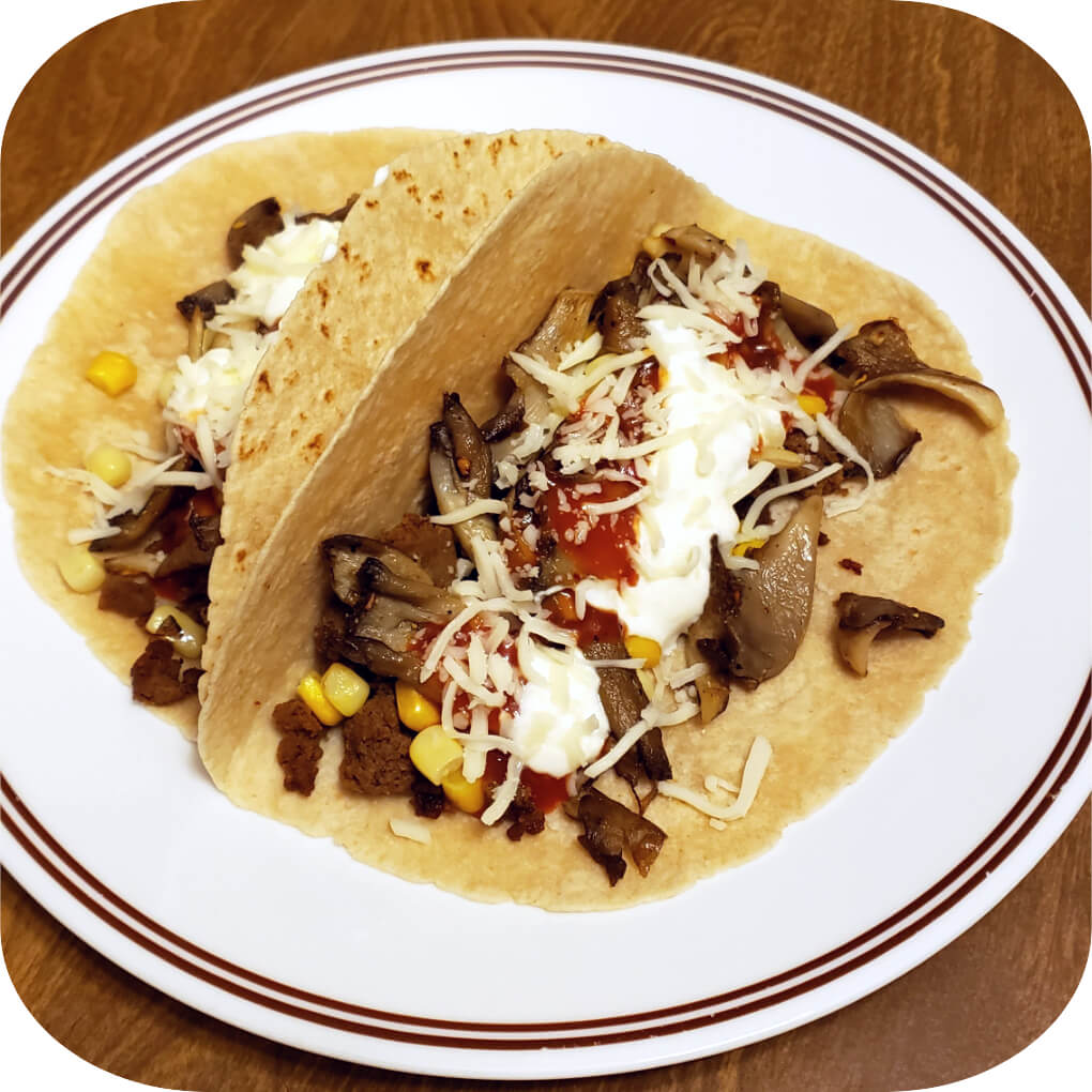 Mushroom Turkey Tacos – Cloud Culture