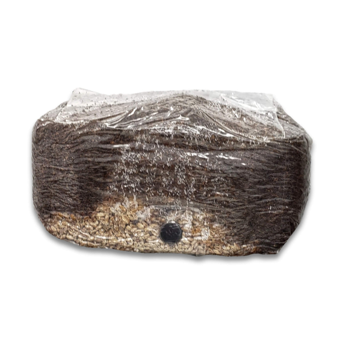 Grain & Master all-in-one Mushroom Fruiting Block (with built-in self ...